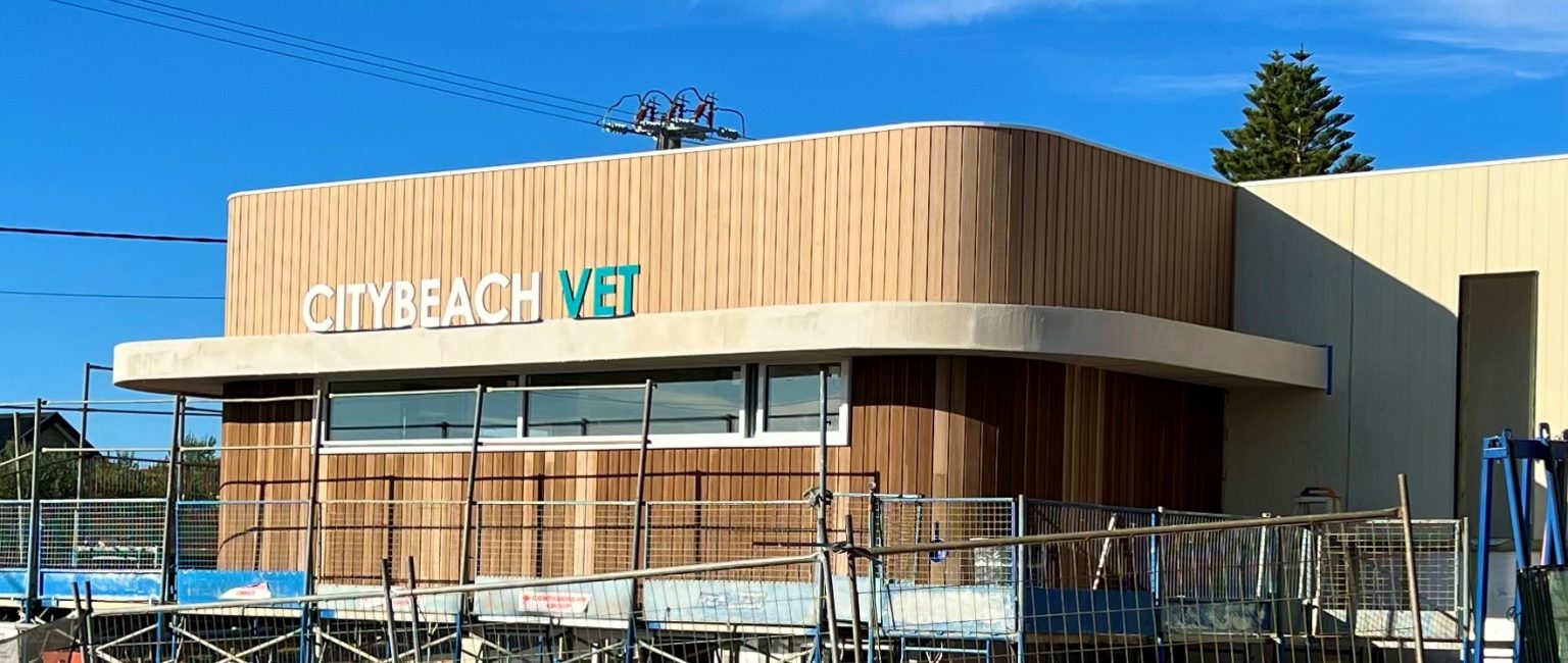 City Beach Vet | Scarborough, Doubleview, Wembley & Surrounds